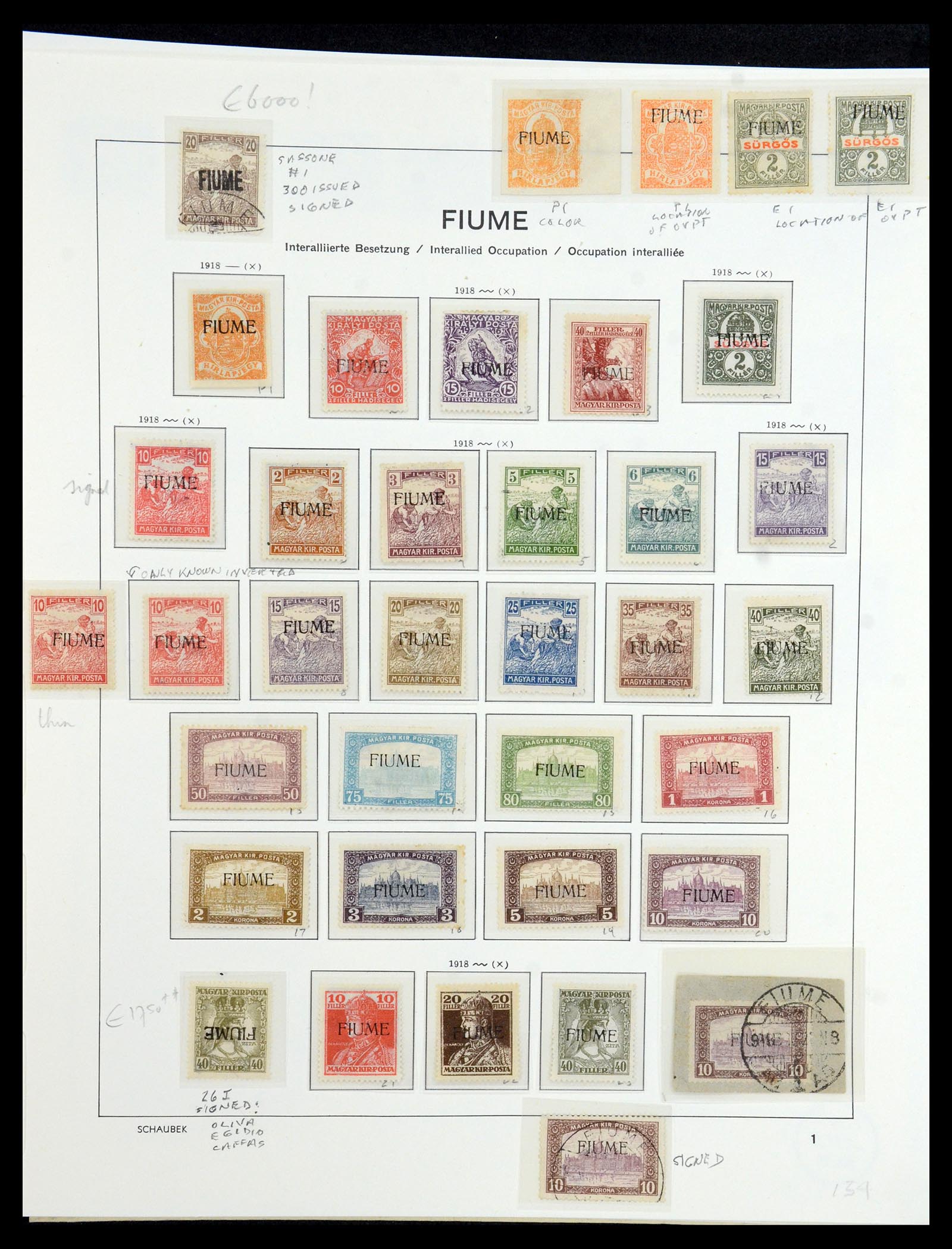 36182 Fiume supercollection 1918-1924. - Smits Philately