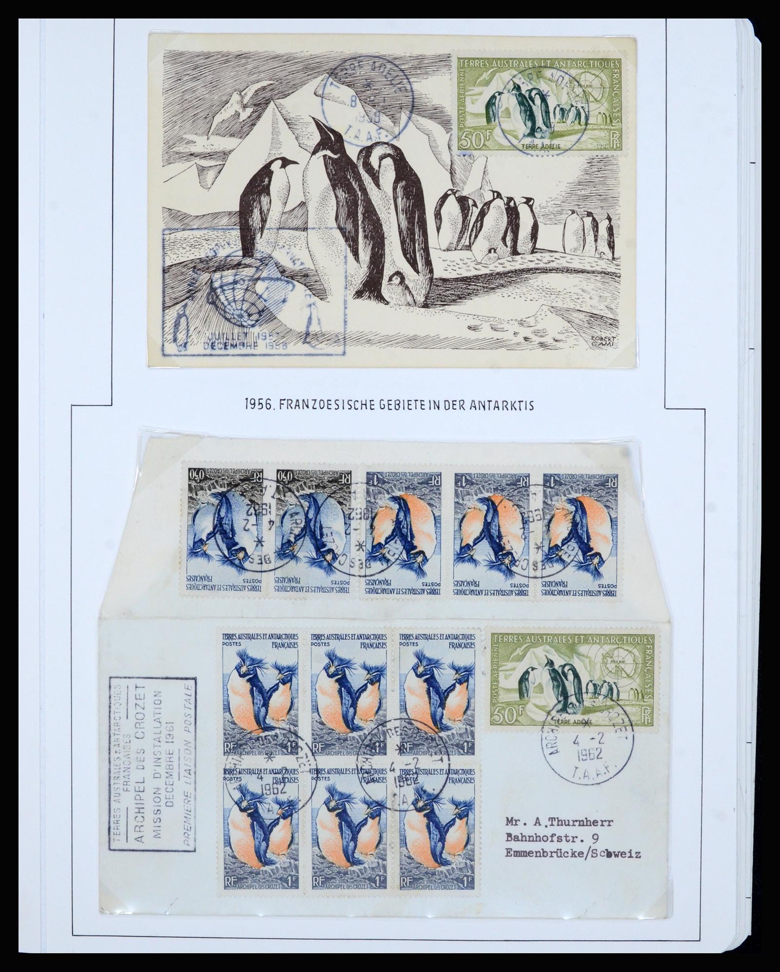 36751 French Antarctic 1955-1984. - Smits Philately